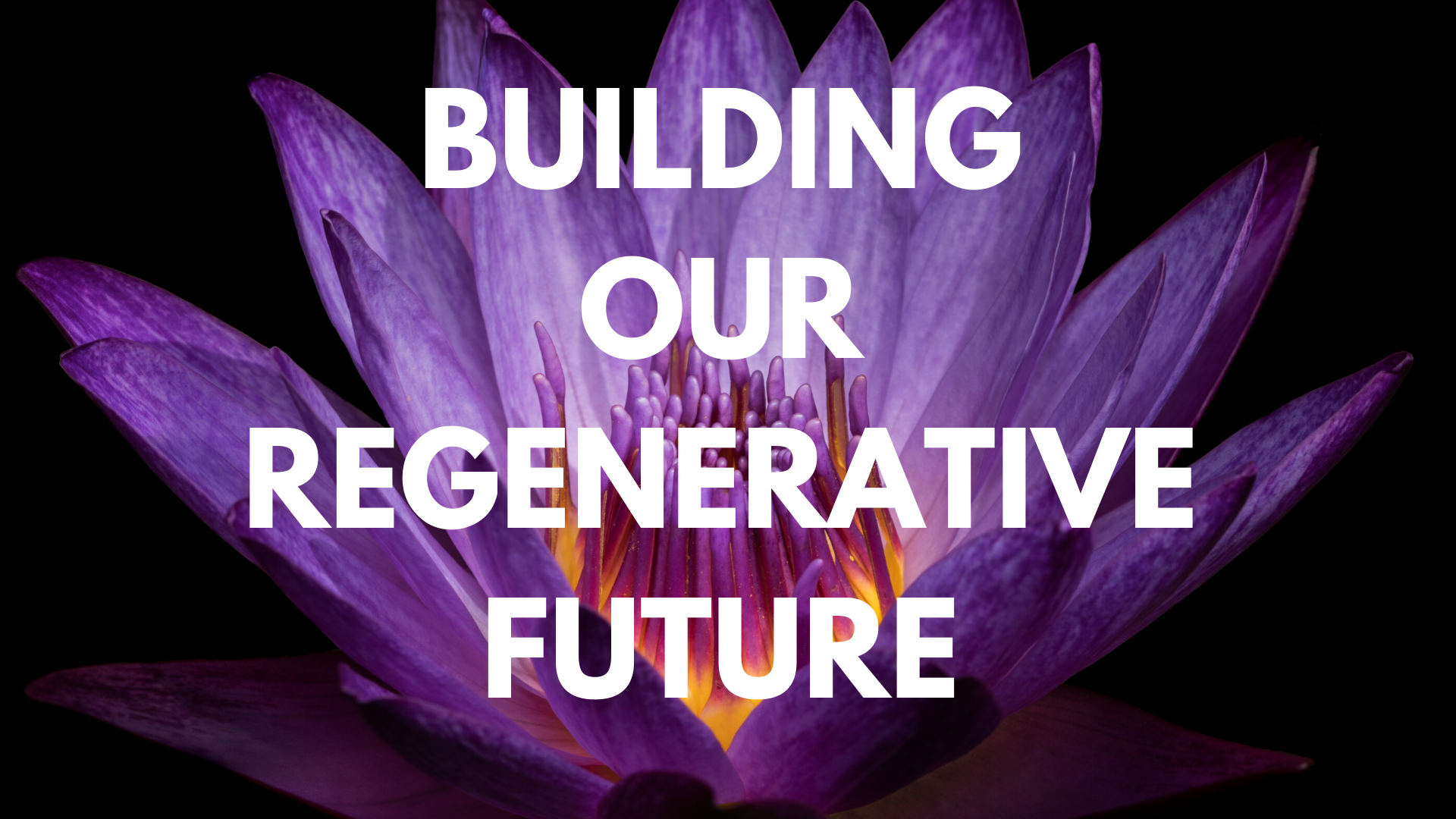 Building Our Regenerative Future | Cosmic Pineapple