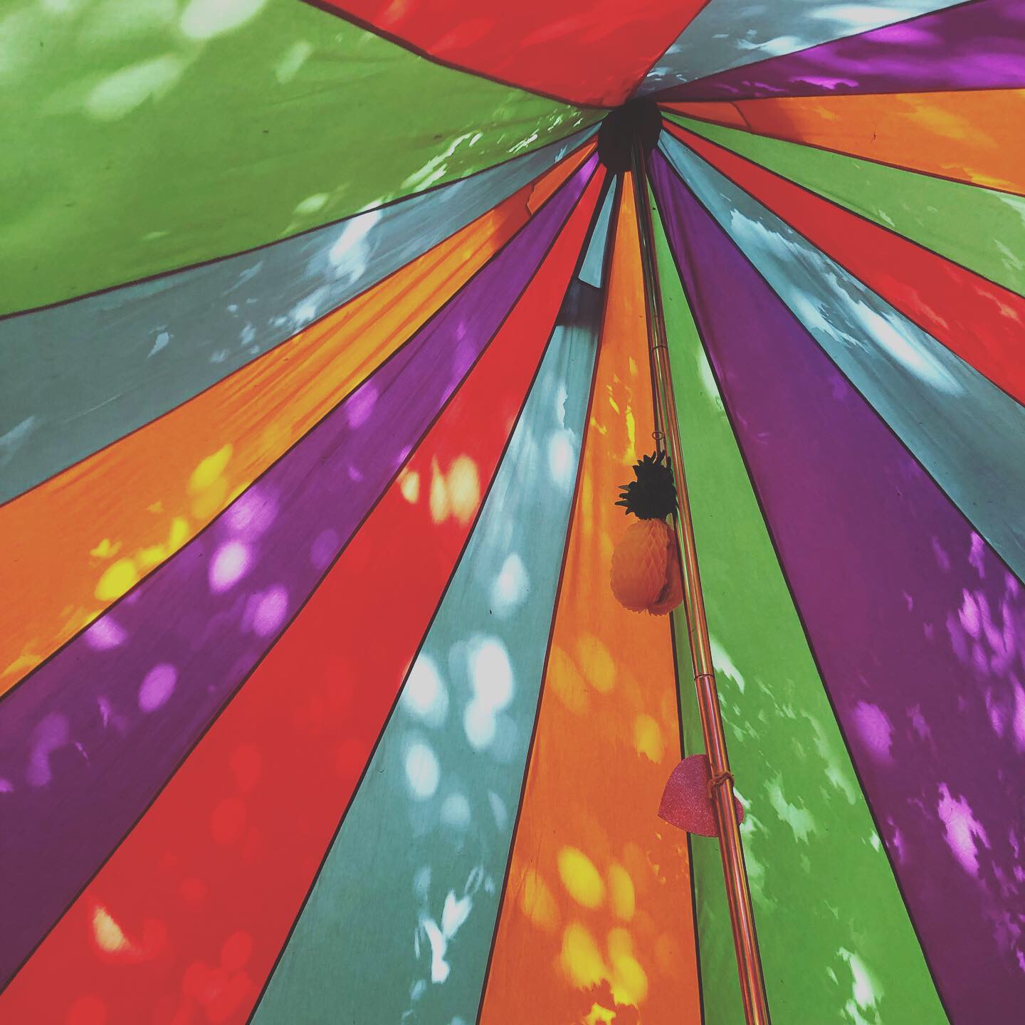 A Cosmic overview of the summer 2019 | Cosmic Pineapple